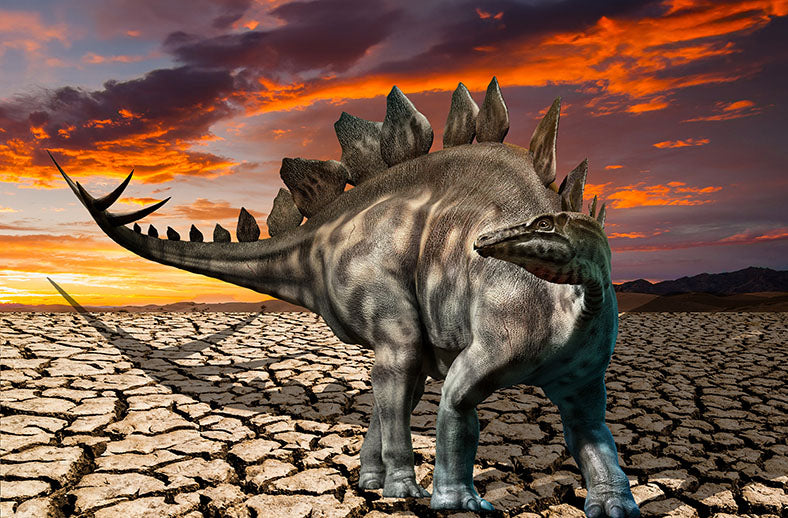 Did the Stegosaurus Have Two Brains? (We Ask the Experts) - Chef's Vision
